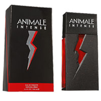 Perfume Animale Intense for Men | Perfumes Animale - Perfumes.com.br